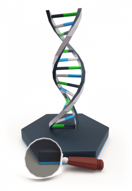 Waarom Pixeo kiezen? Ontdek onze eigen succesformule!