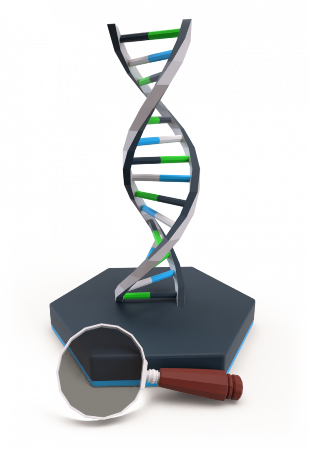 Waarom Pixeo kiezen? Ontdek onze eigen succesformule!