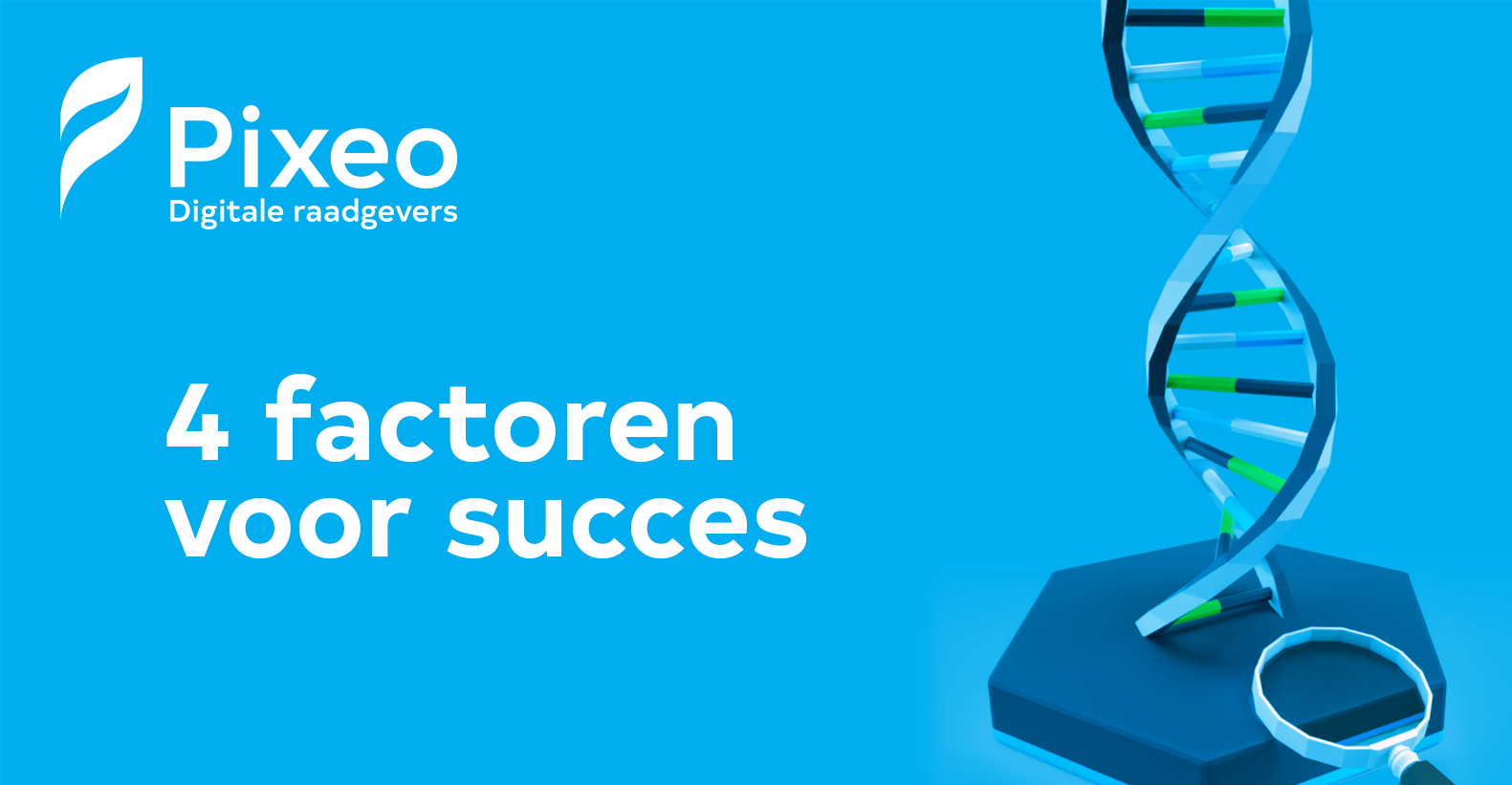 Wat zijn de vier succesfactoren van een website? Pixeo weet het!