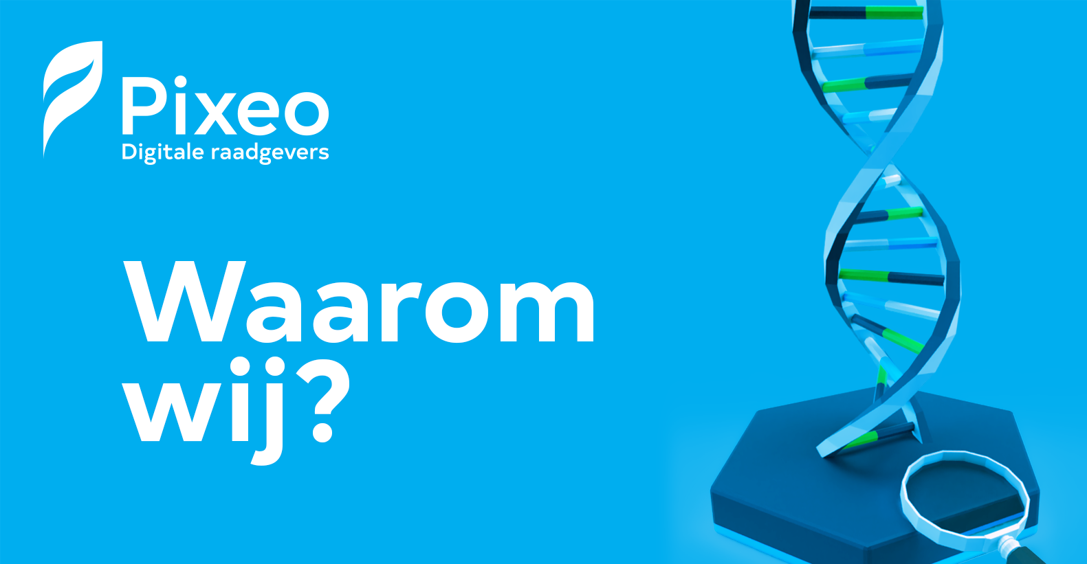 Waarom Pixeo kiezen? Ontdek onze eigen succesformule!